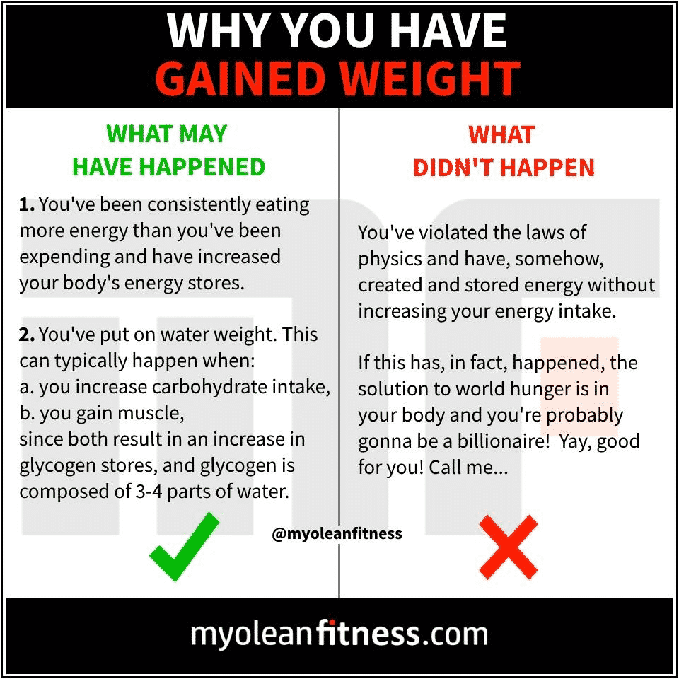 Comprehensive Guide to Macro Tracking and Body Recomposition