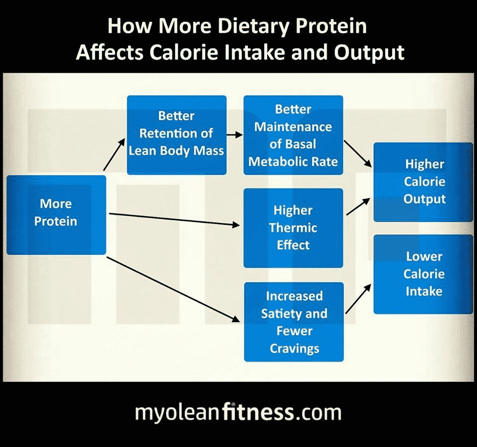 Comprehensive Guide to Macro Tracking and Body Recomposition