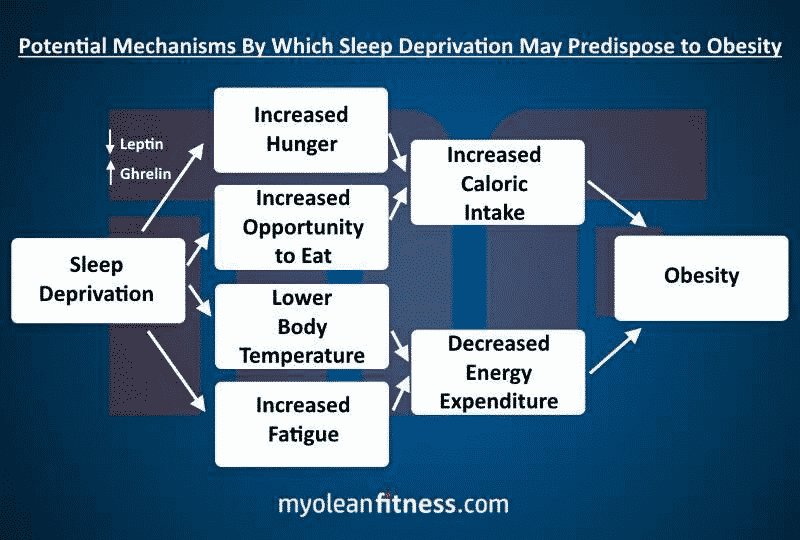 Comprehensive Guide to Macro Tracking and Body Recomposition