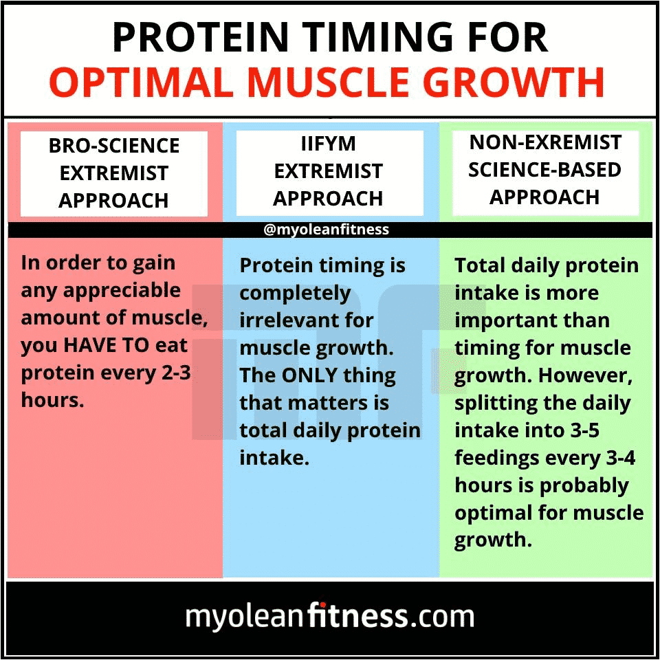 Comprehensive Guide to Macro Tracking and Body Recomposition