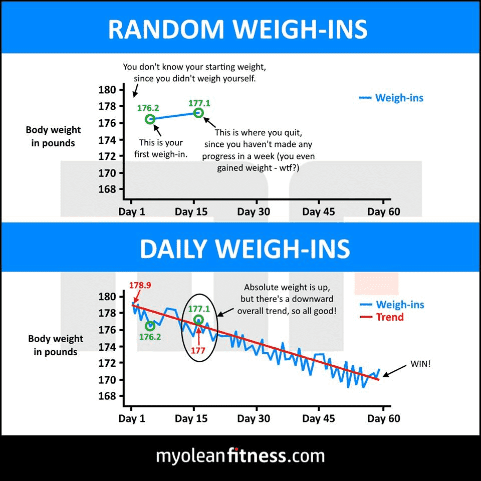 Comprehensive Guide to Macro Tracking and Body Recomposition